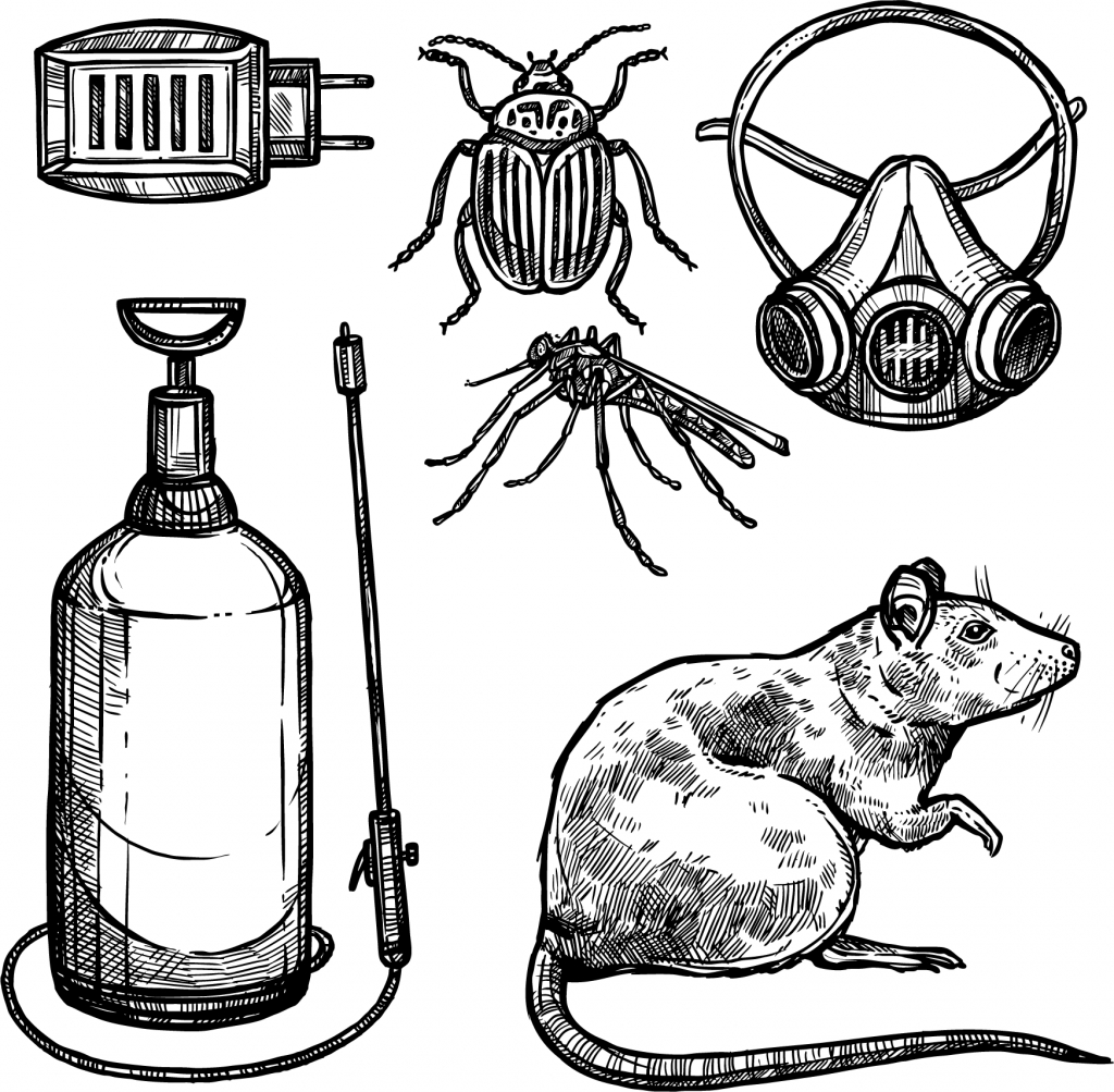 AB Services 3D - Dératisation, désinfection, désinsectisation à Voiron